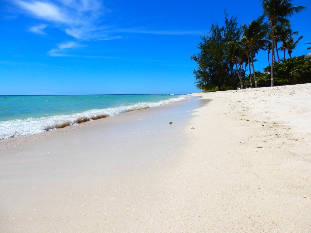 A Holiday Hike, A Perfect Storm and a Bit More Barbados Banter - Cherryl's Blog