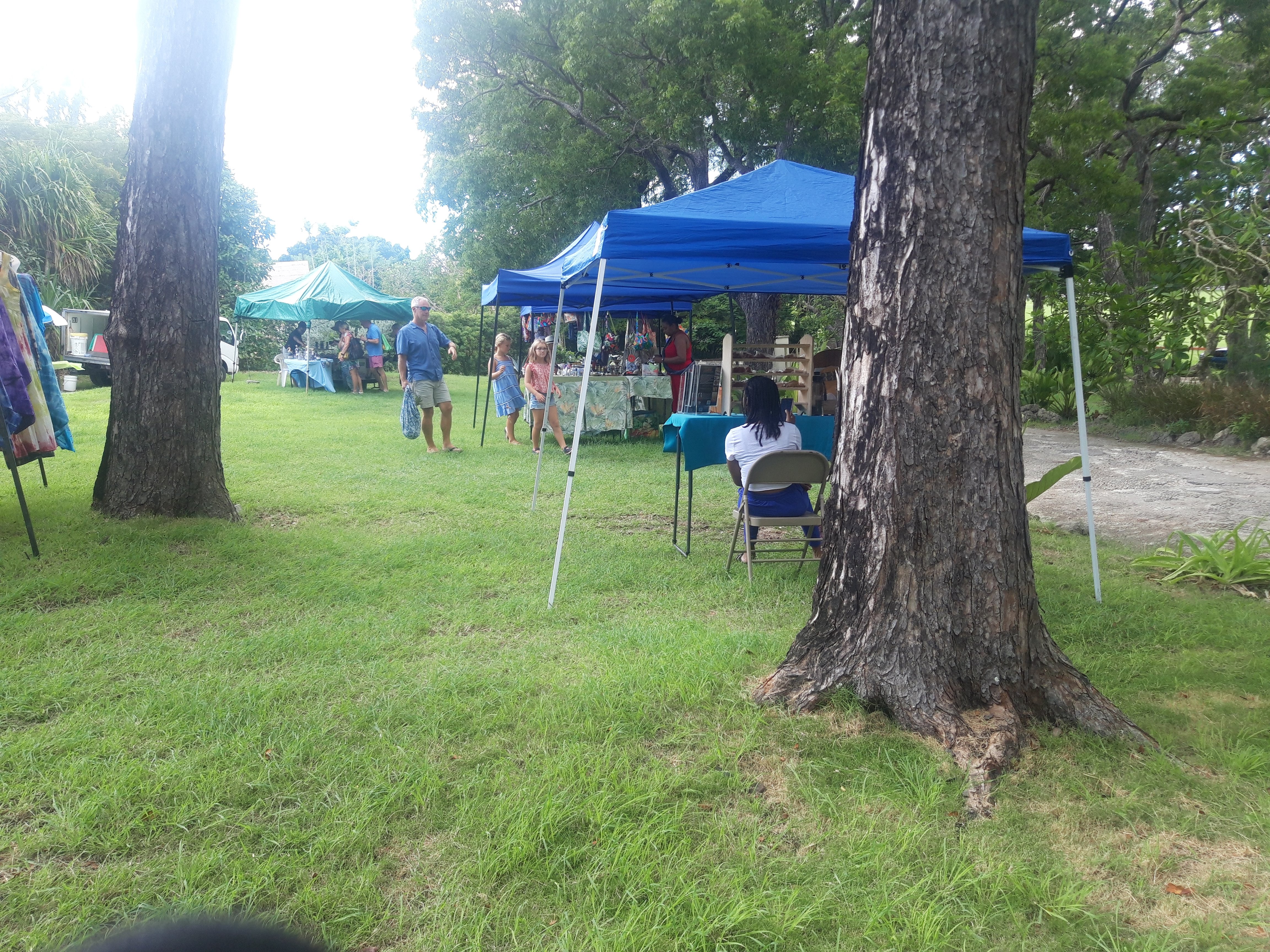 Out and About Barbados: Farmers Markets, Art Exhibition, Lost ...