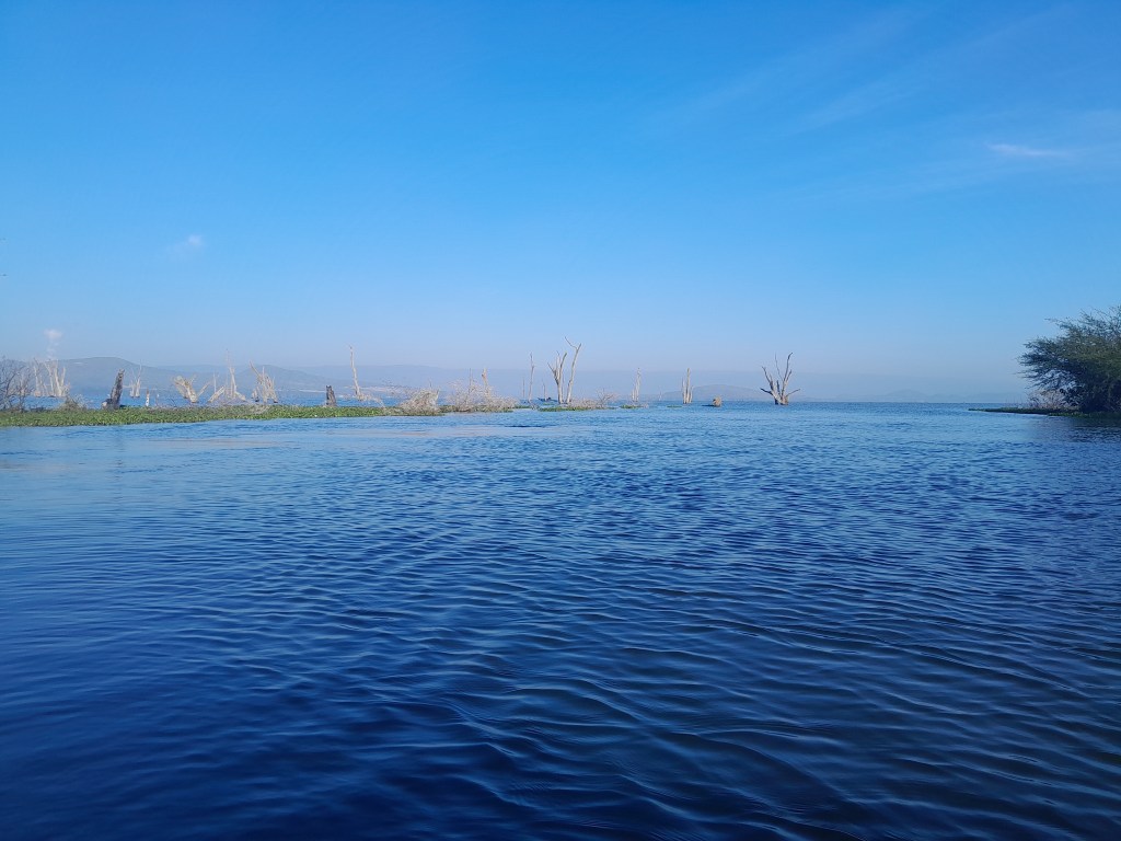 Hungry Hippos: One Night on Lake Naivasha Kenya, in The Great Rift Valley - Cherryl's Blog